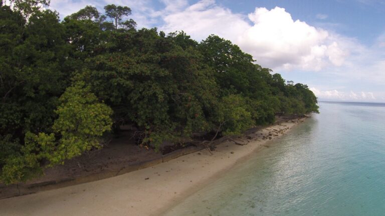 Spend a Day at Ambon's Best Beaches