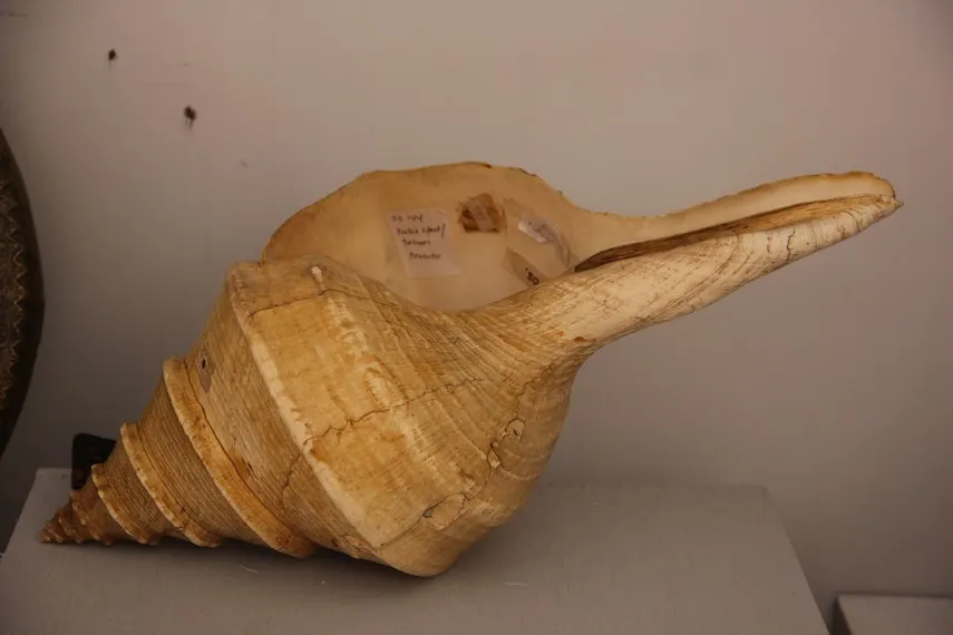 Tahuri: The Unique Conch Shell Trumpet of Maluku - Hello Indonesia